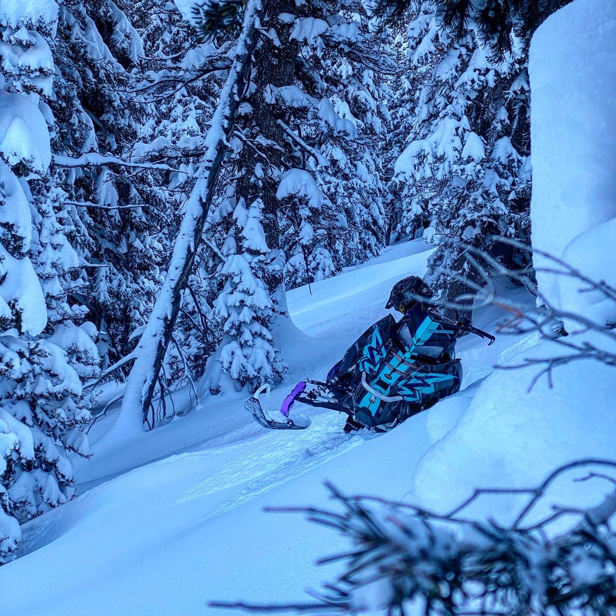 Polaris – Twistedfx